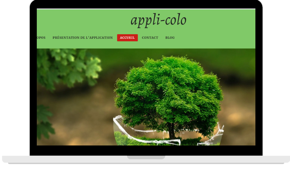 Les meilleurs exemples de sites internet - Busy et Ness